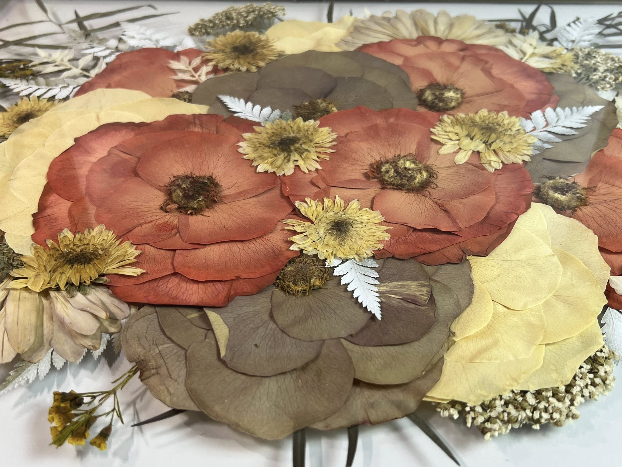 Frames – Feather & Arrow Flower Preservation