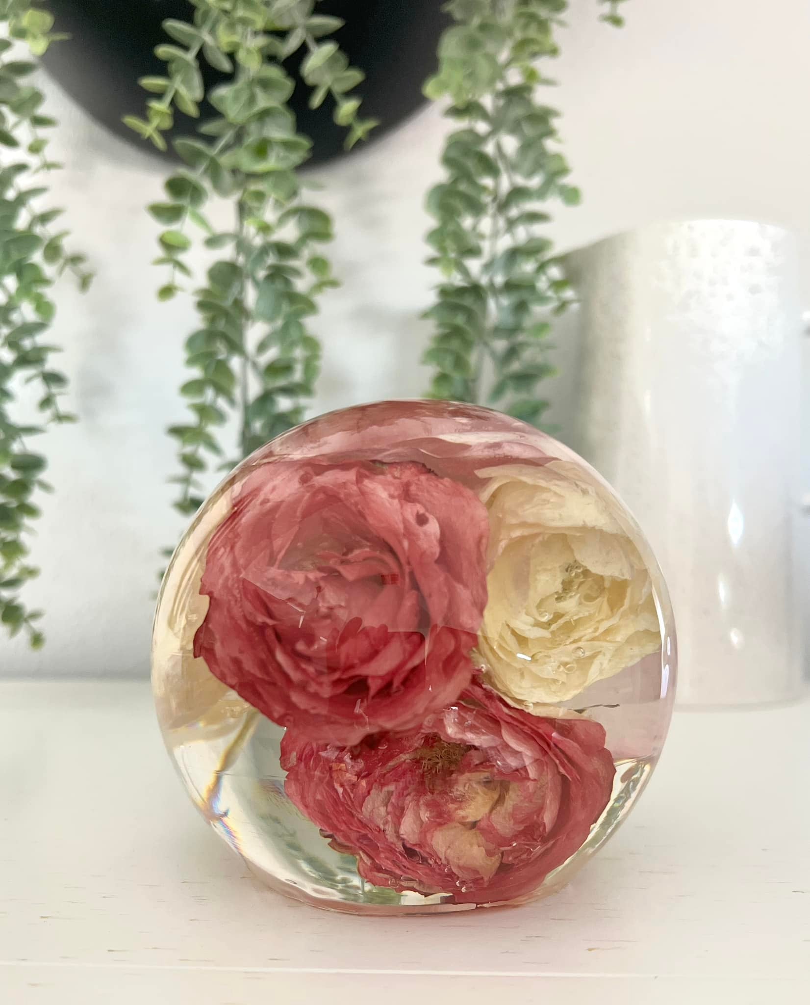 Sphere – Feather & Arrow Flower Preservation